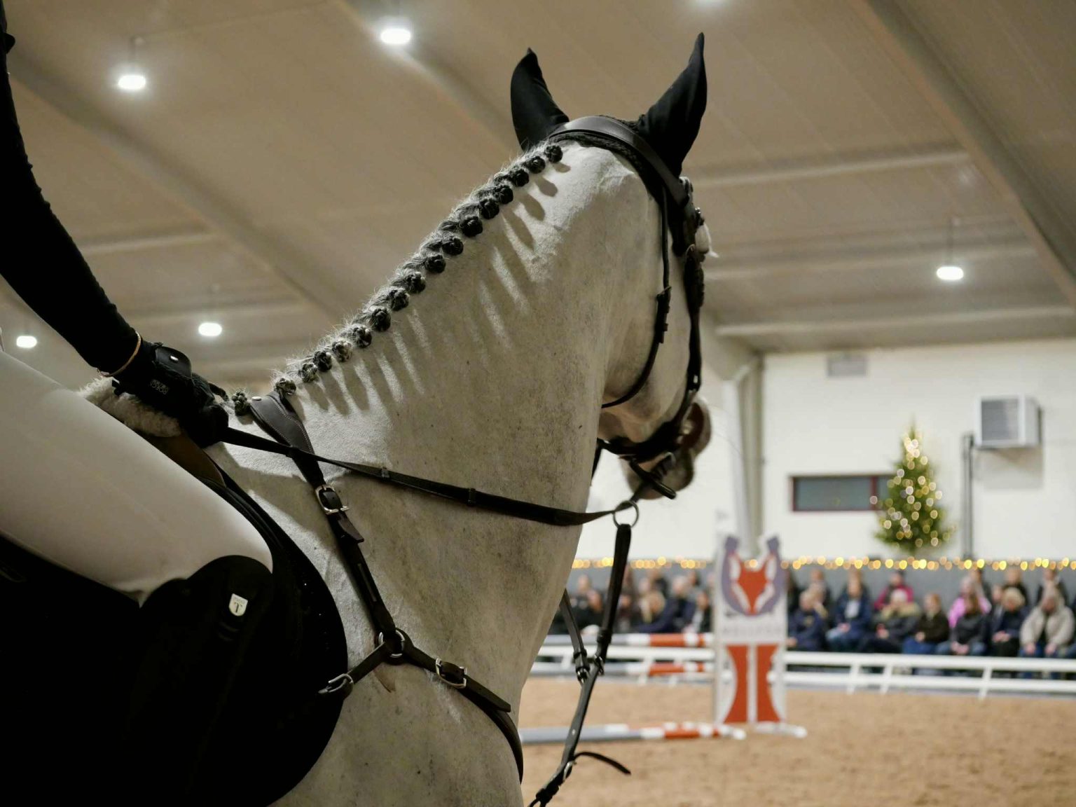 Tack o tack o tack - Mellfox